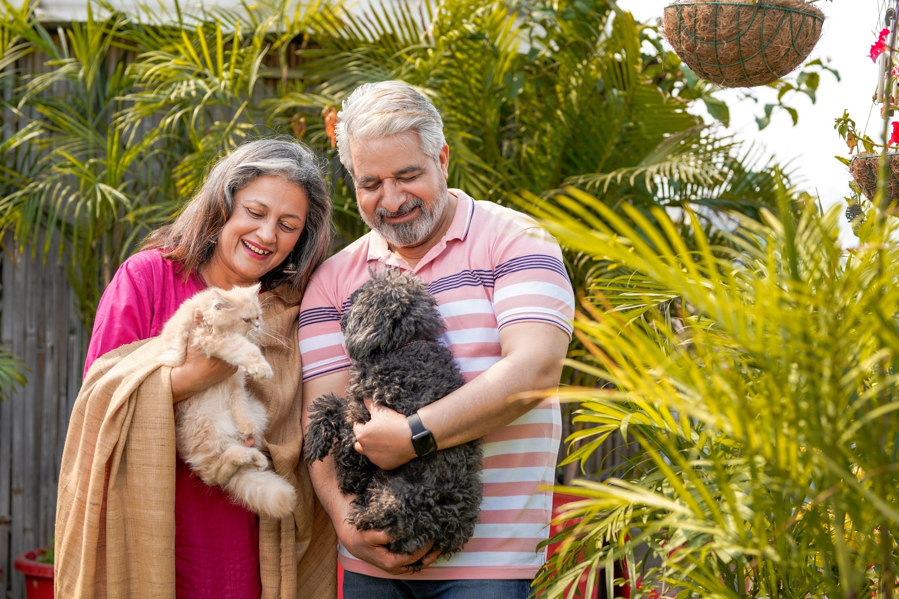 Indian couple divorces because their pets don't get along