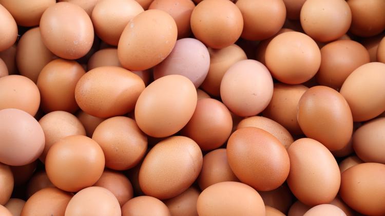 Texas food banks to receive more than 2M eggs after settlement ...