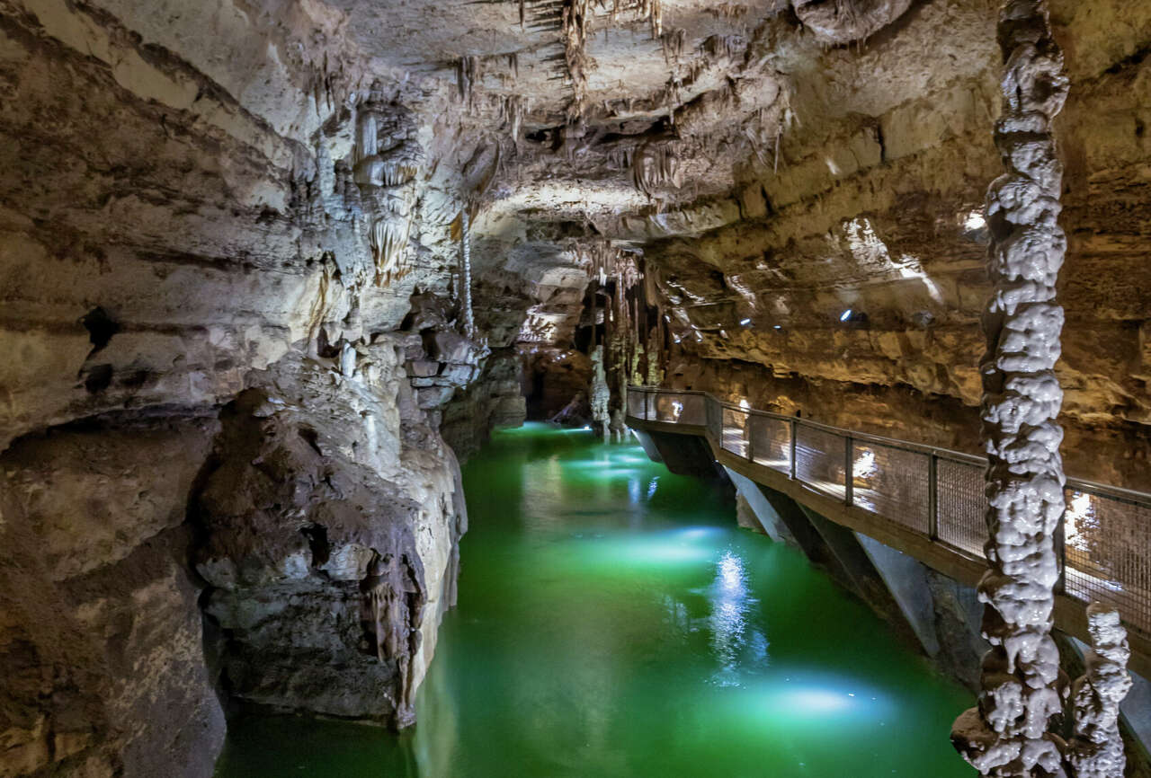 Texas' coolest underground wonders include 'meaty' spiders
