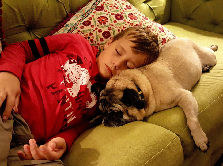 20+ Kids Who Can Turn Any Day Into a Comedy Show
