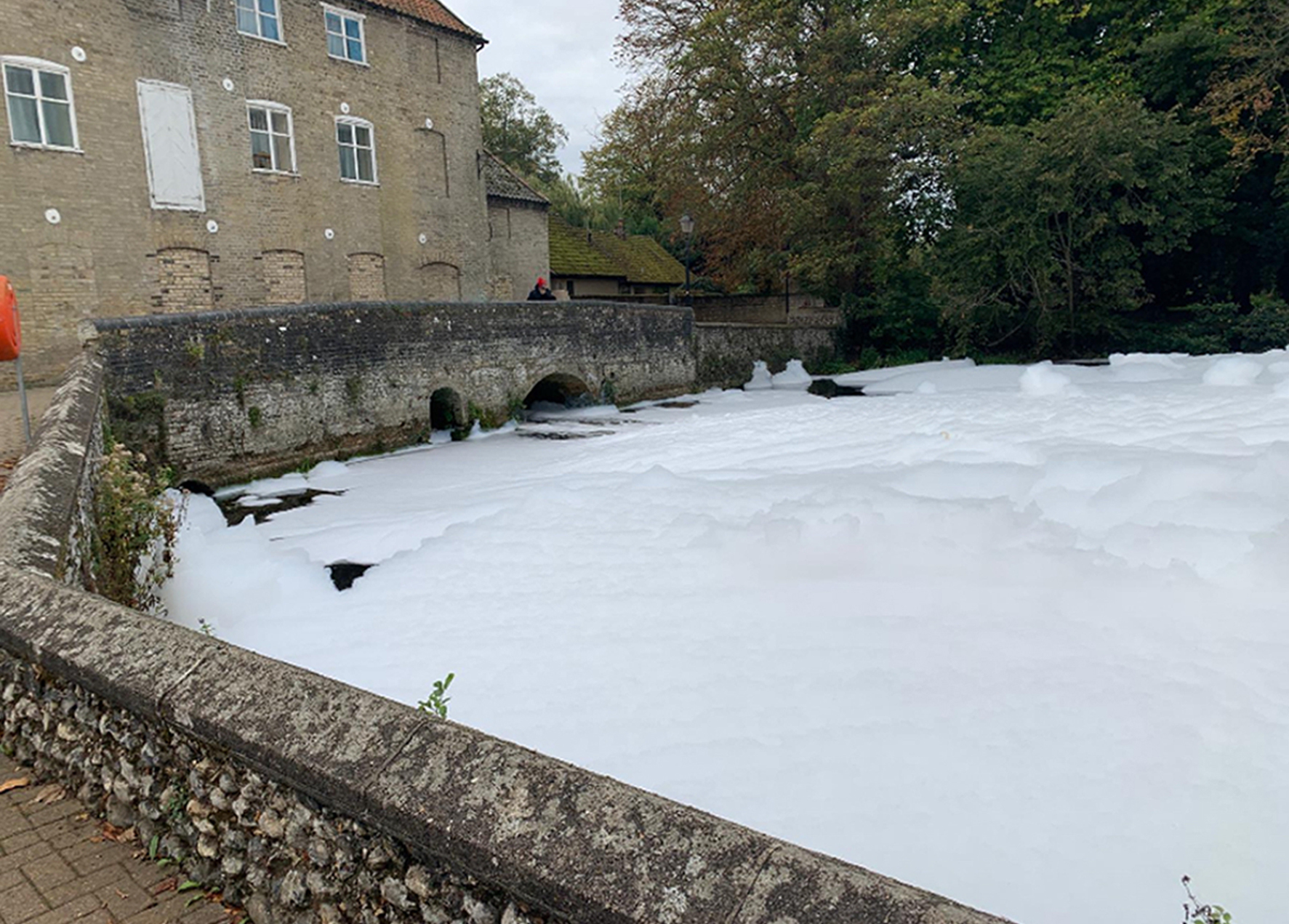 Environment Agency investigating after fish die in foam layer on river Thet