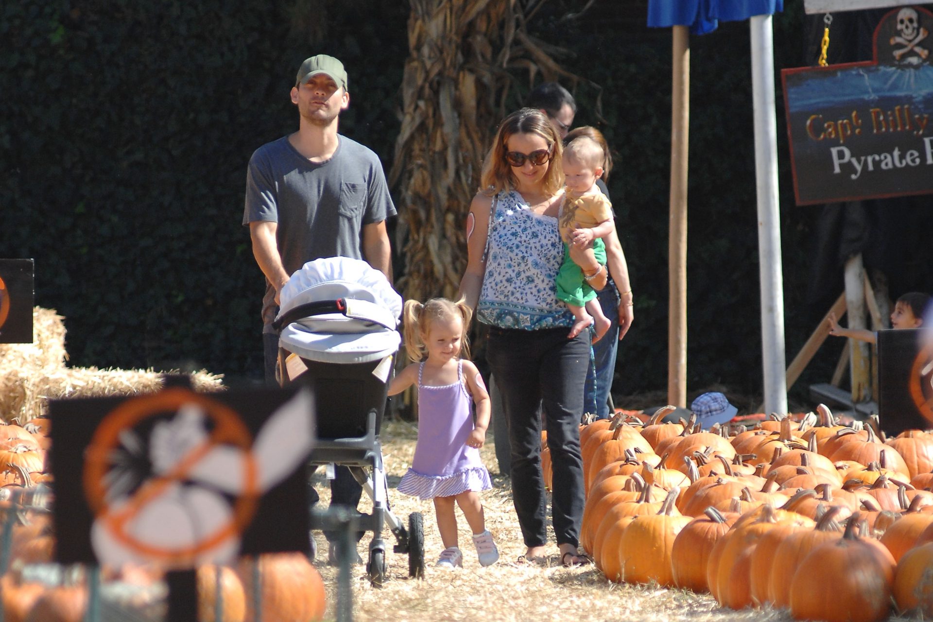 Halloween prep: learn the science behind growing giant pumpkins