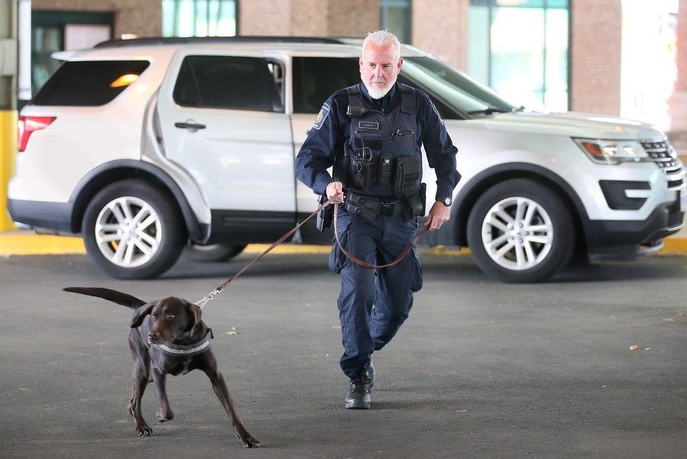 Federal funding will add 45 new Canada border officers in Windsor