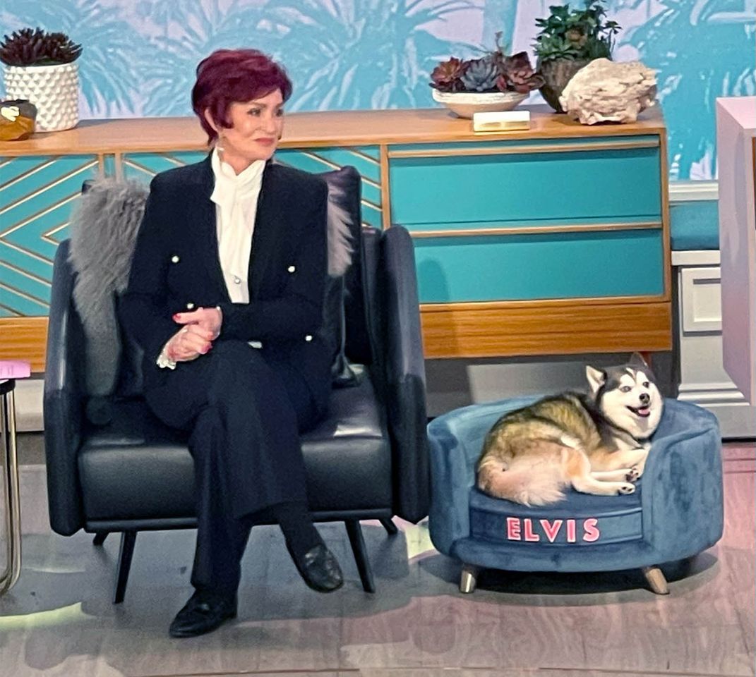 Sharon Osbourne Mourns Death of Her Dog Almost 3 Months After Husband ...