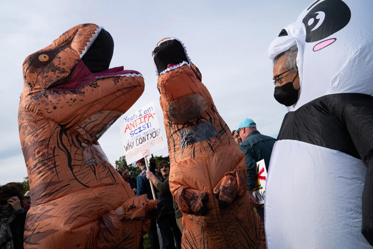 Why protesters against Trump are wearing frog, chicken and T. rex costumes