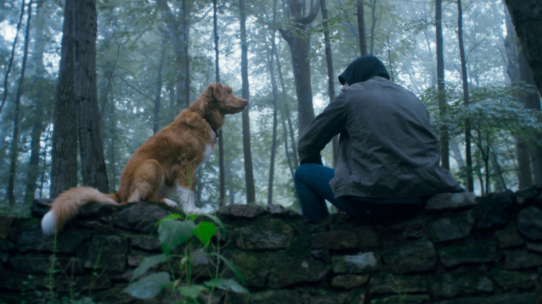 5 Best Horror Movies With Barely Any Dialogue