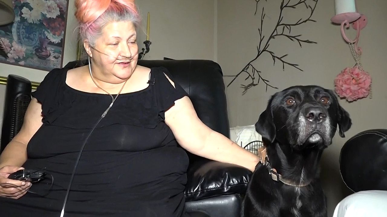 末期の病にある女性、行方不明だった愛犬と感動の再会