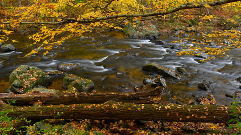 Sandwiched Between New York City And Allentown Are Picturesque Trails ...
