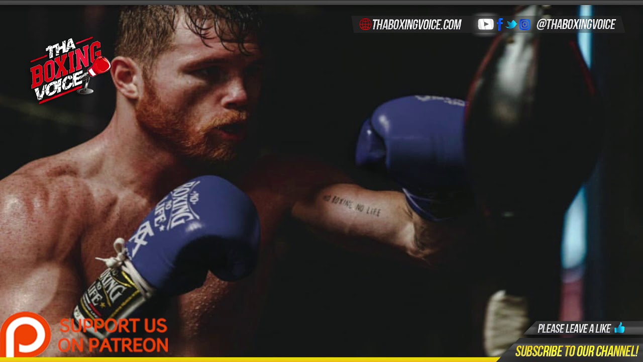 🔥Canelo blasts Demetrius Andrade, labels him boring, says he’s never ...