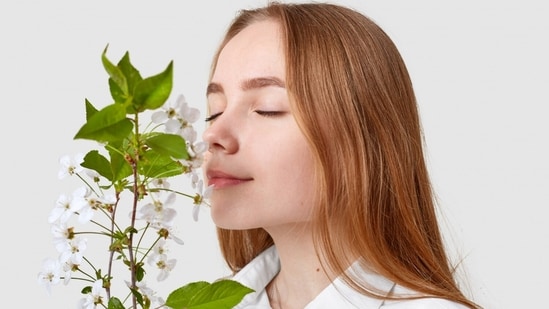 Neurobiology expert says your sense of smell could tell how long you ...