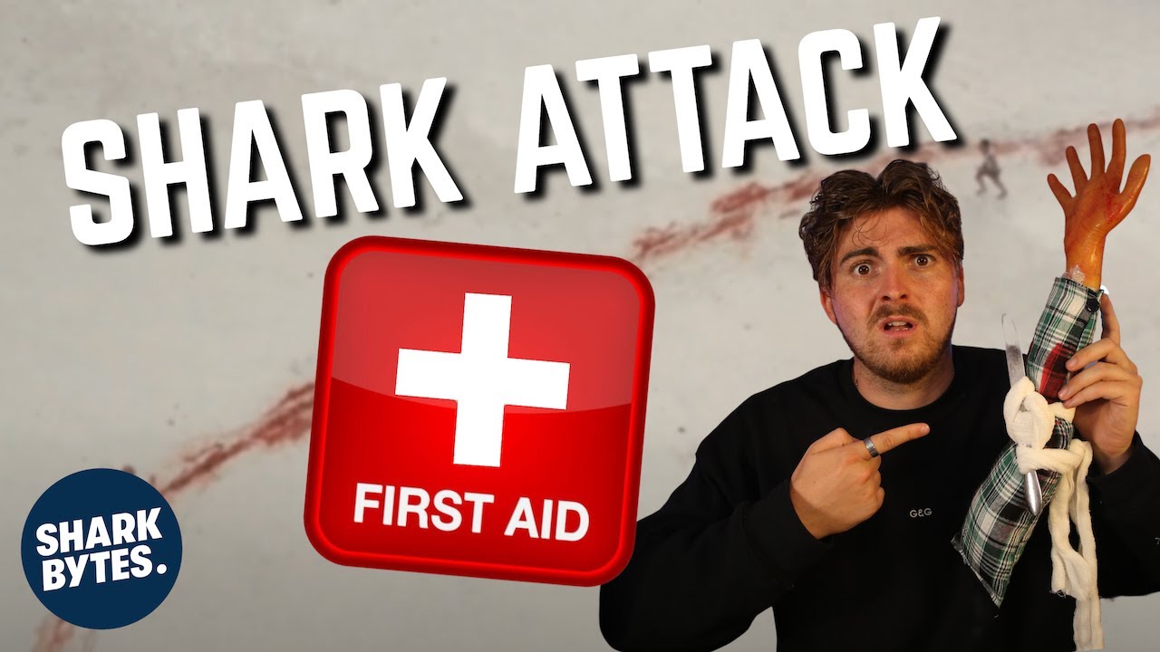 How to apply first aid for a shark attack victim