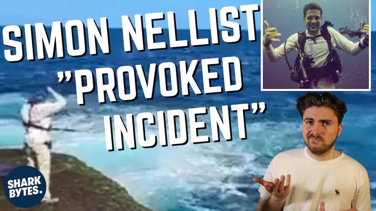 Breaking down the 2022 global shark attack data