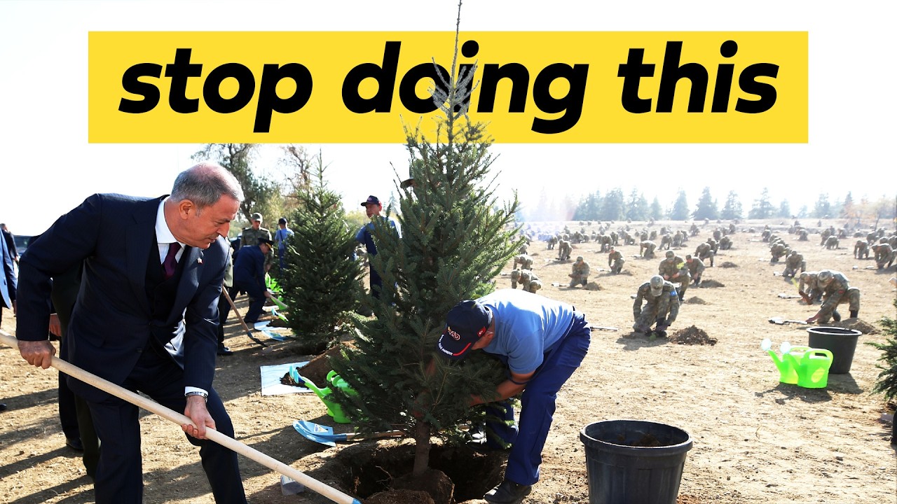 How Tree Planting Can Backfire and Heat the Planet