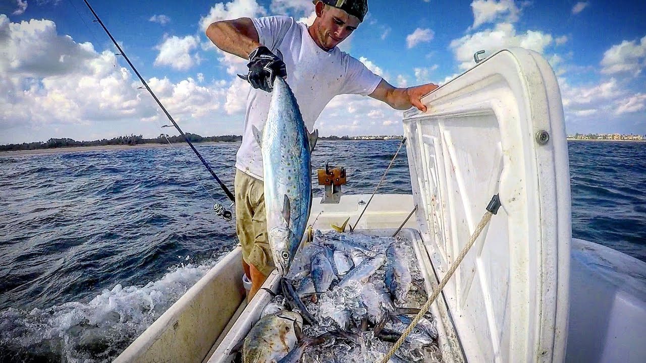 Catching fish every cast - nonstop catch and cook
