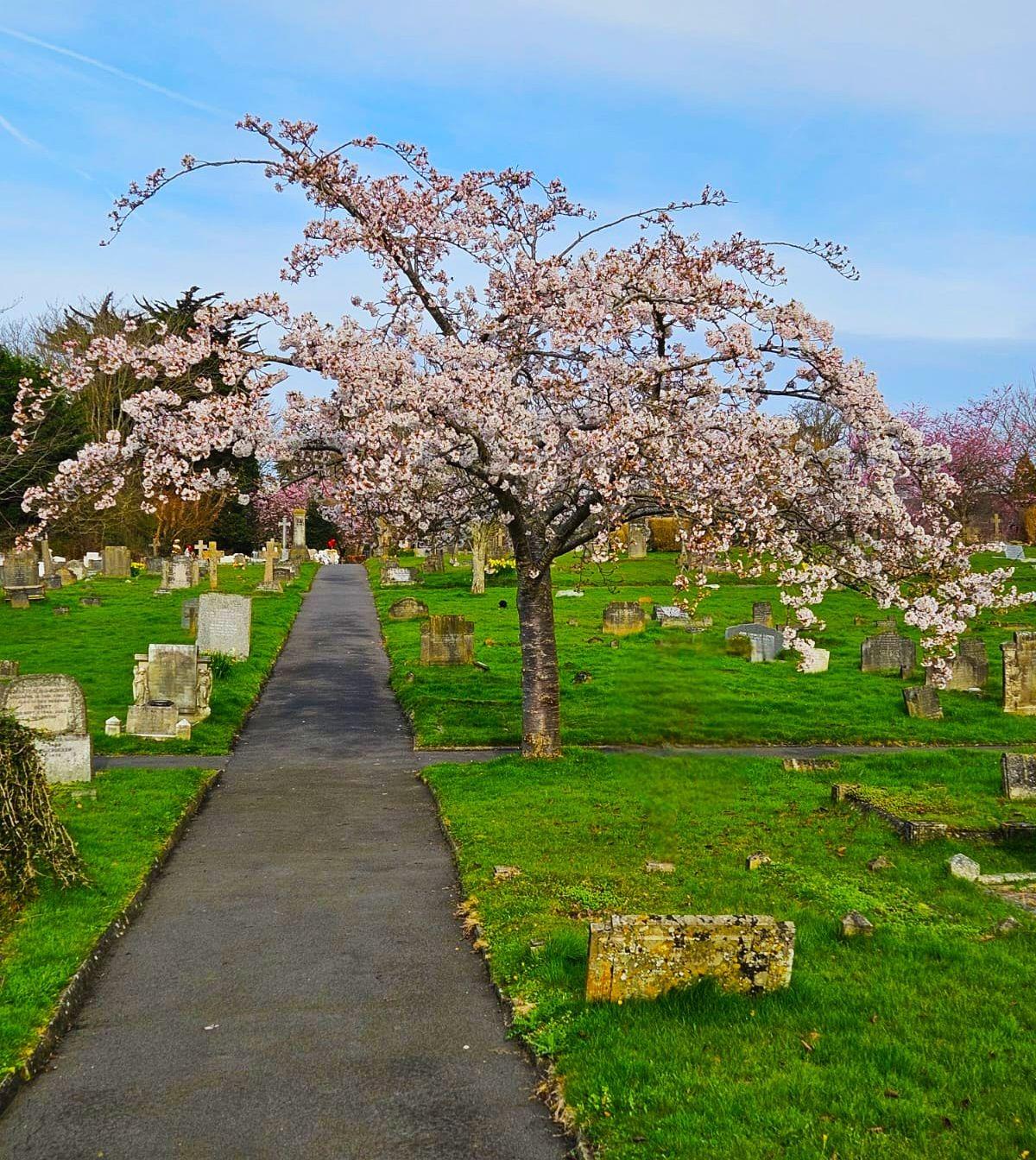 Next phase of improvements and upgrades at Hailsham Cemetery