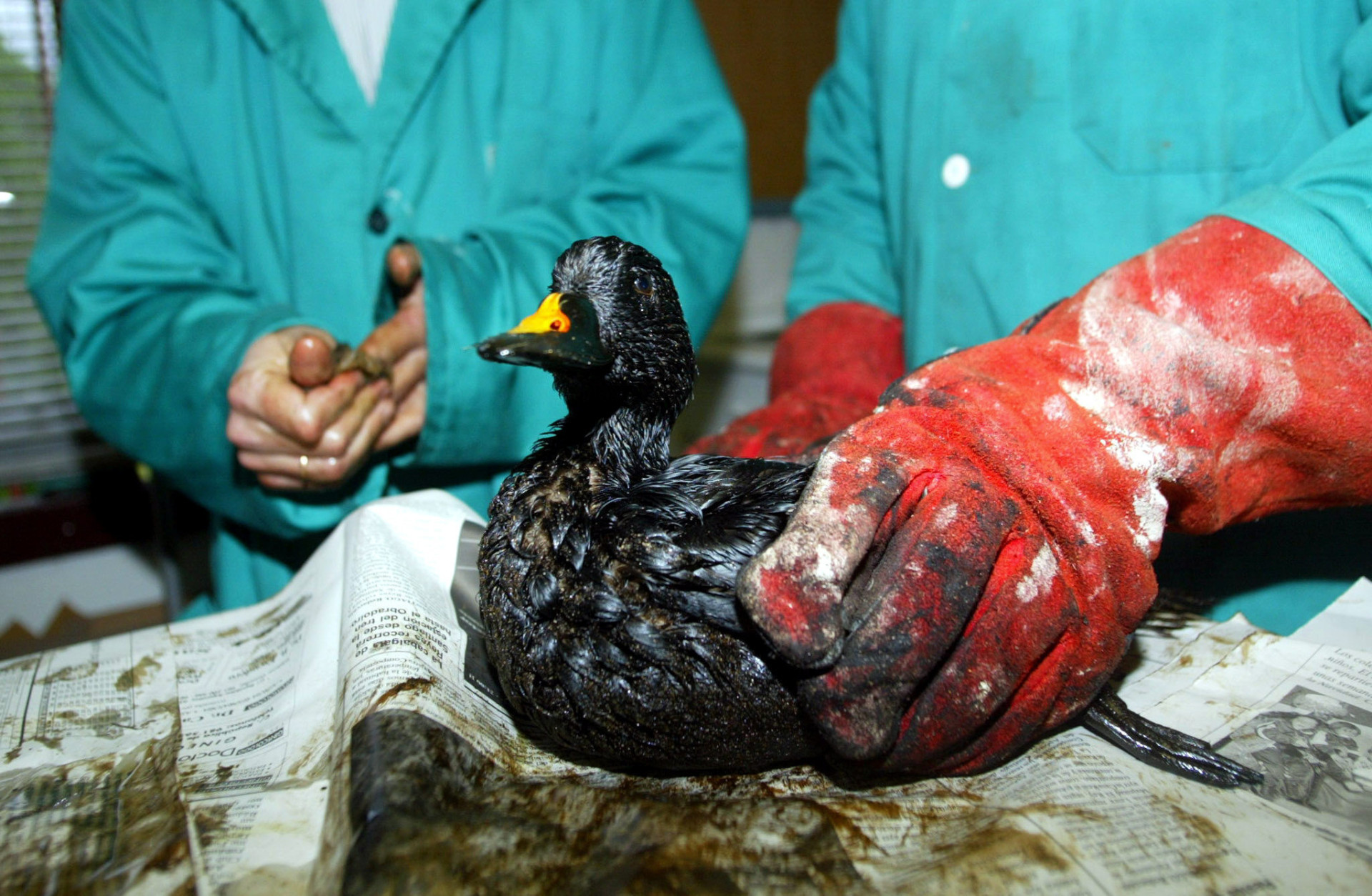 The most impactful man-made disasters in history