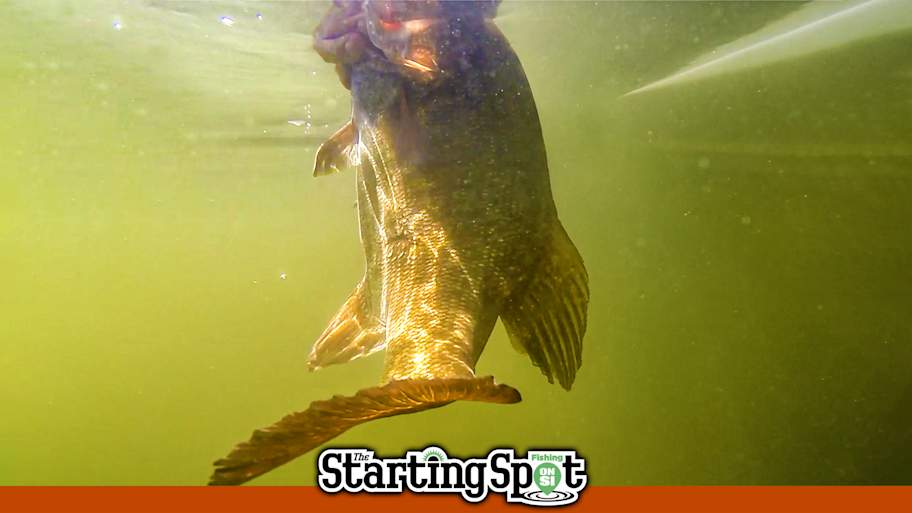The Starting Spot: Online Tournament for High School Anglers, 4 Fall ...