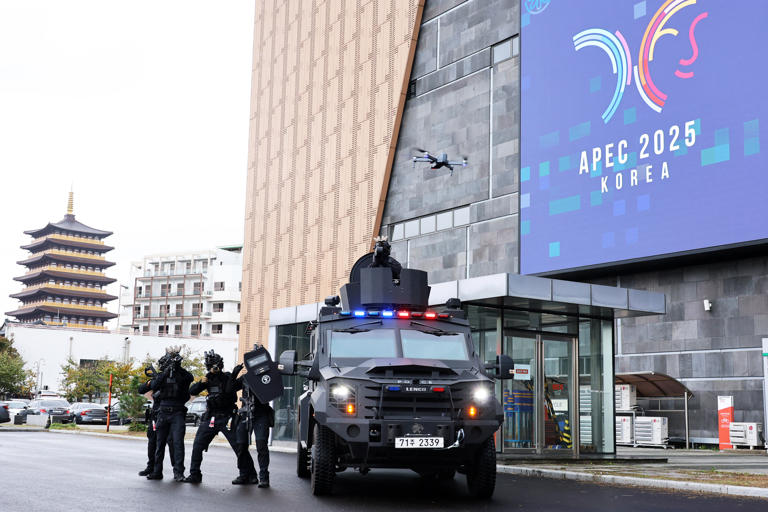 Police take down drones