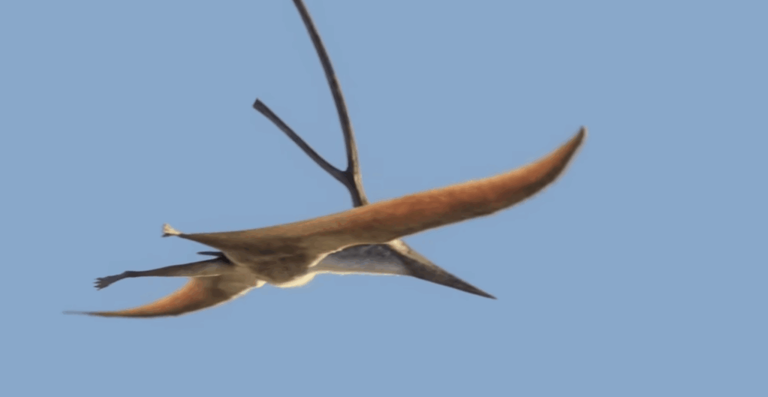 12 Things You Were Lied to About Dinosaurs