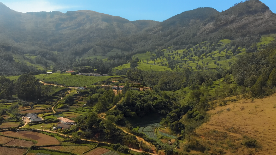 Incredible India the Real Essence of the Nation