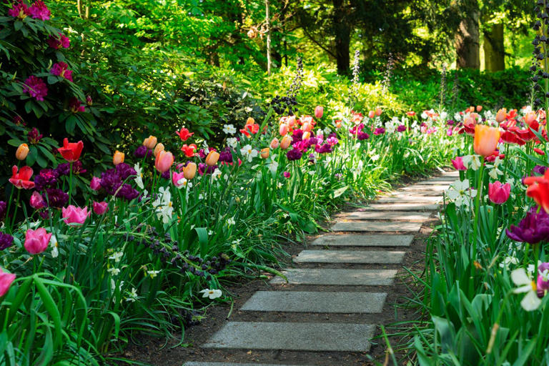 Here’s exactly how (and when) to plant tulips for a beautiful spring garden