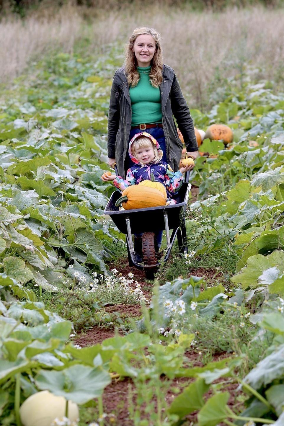Warwickshire farmers geared up for spooktacular pumpkin pick your own