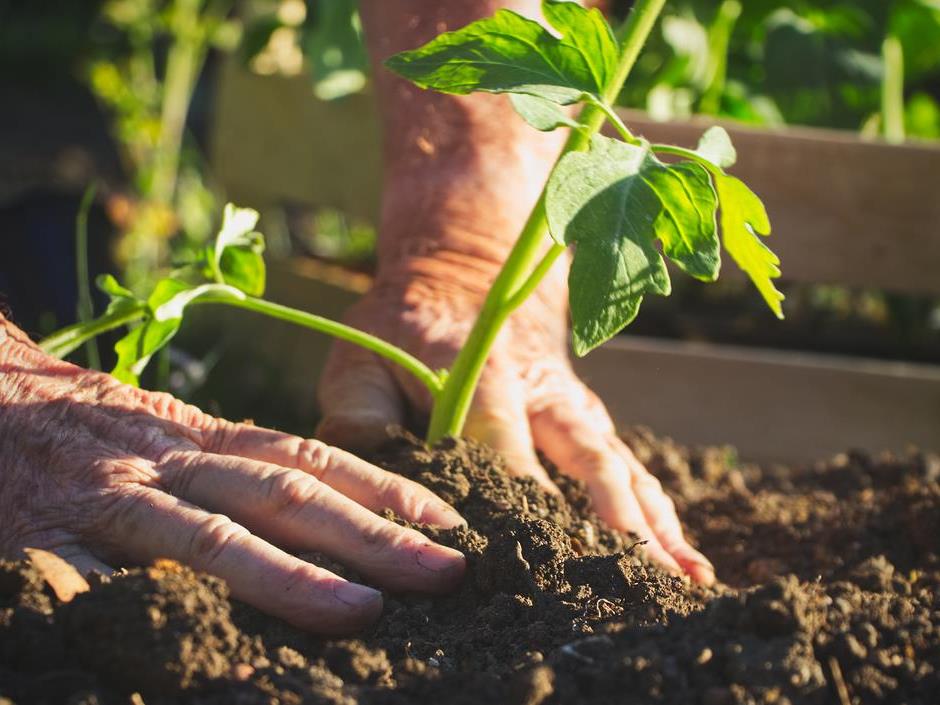 Changement de cap pour l’École de permaculture de Val-d’Espoir
