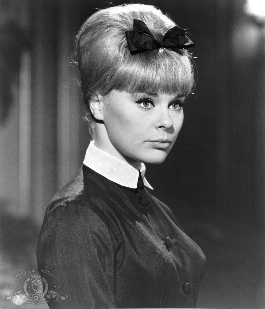 20 One-Hit Wonder Celebrities from the 1960s You Might Remember