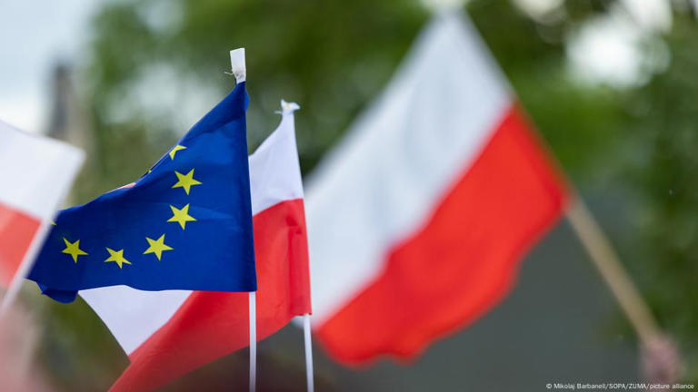 Europas "Hidden Champion": Polen