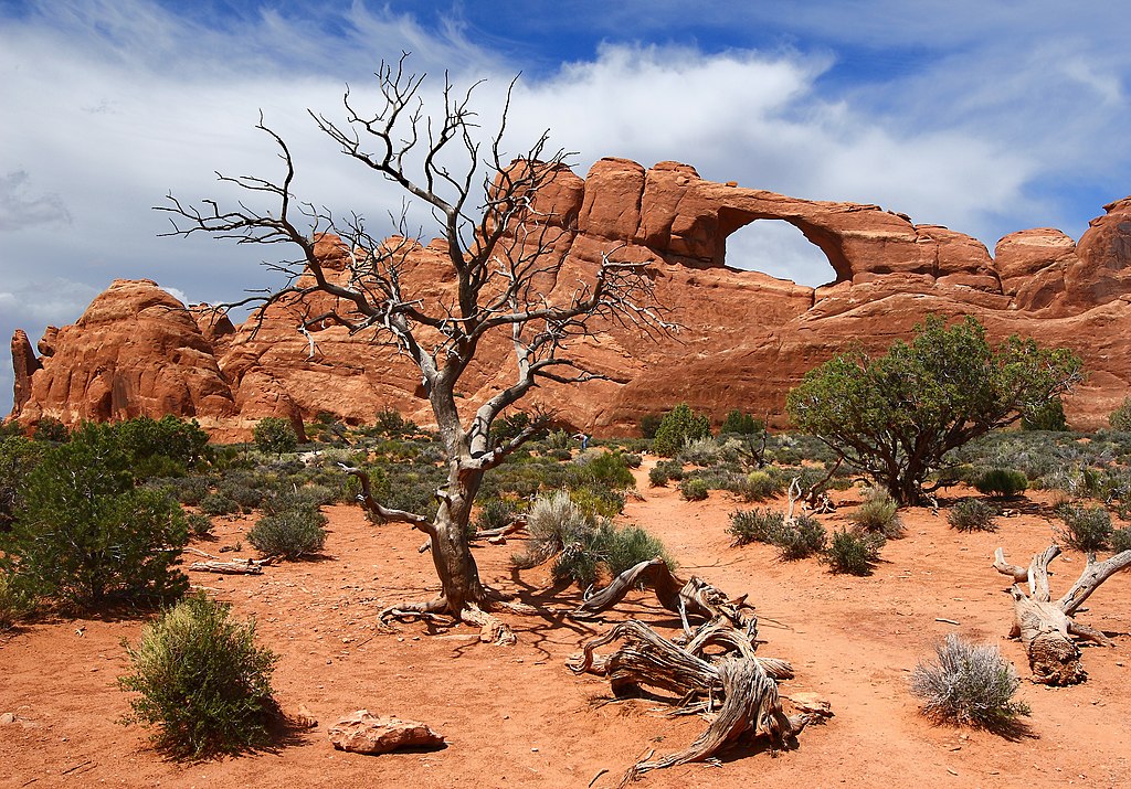 6 Trail Restoration Projects Revitalizing Utah’s Backcountry Routes