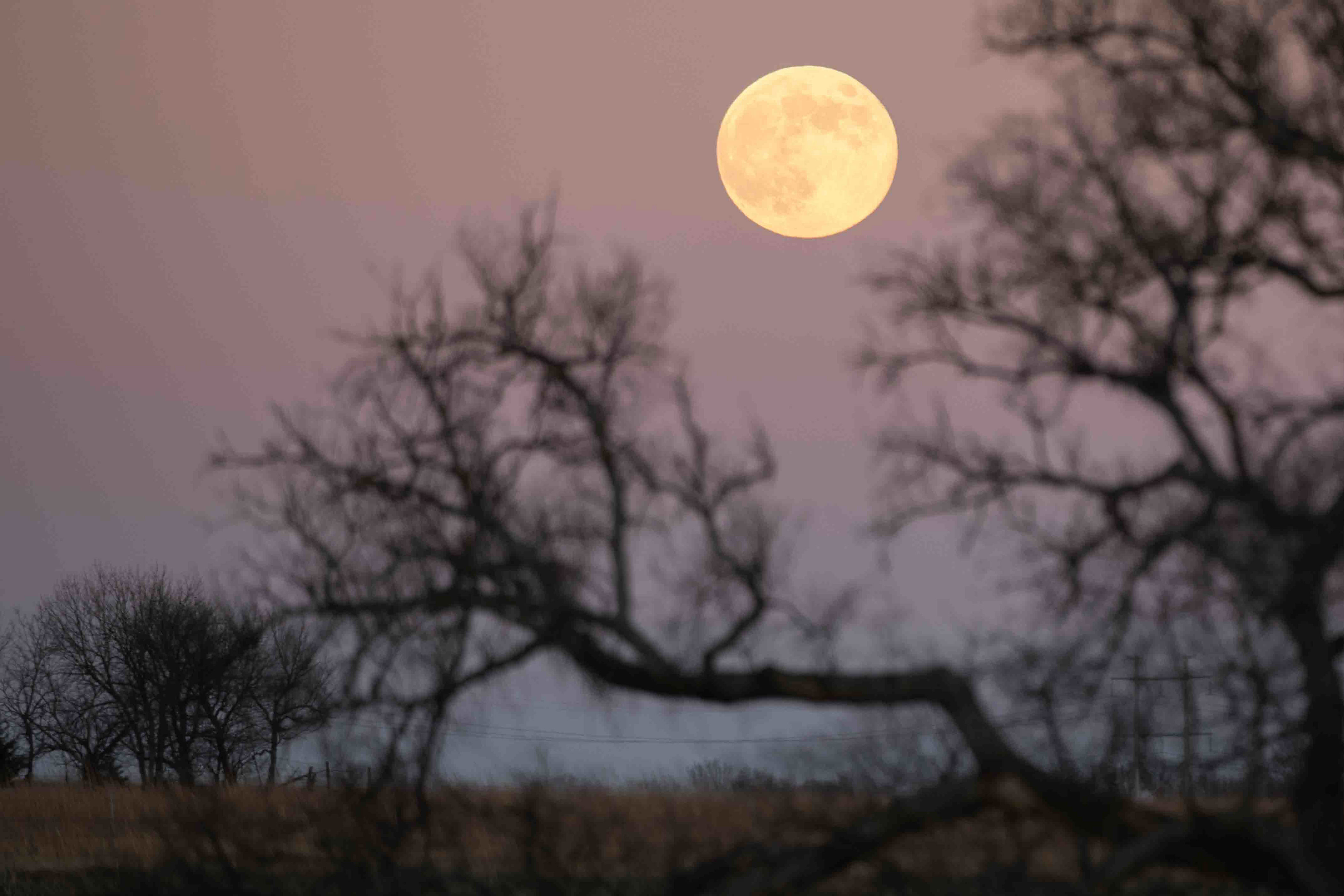 Closest supermoon will make moon illusion even cooler. What to know ...