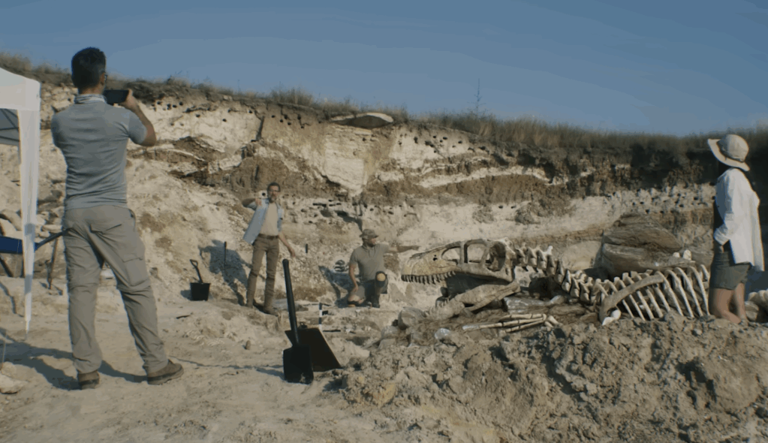 12 Things You Were Lied to About Dinosaurs