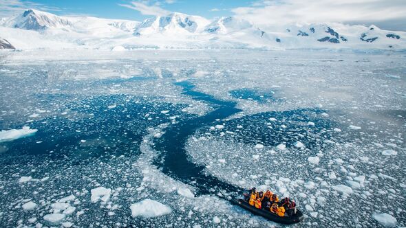 Antarctica breakthrough as AI helps discover 'strange creatures never ...