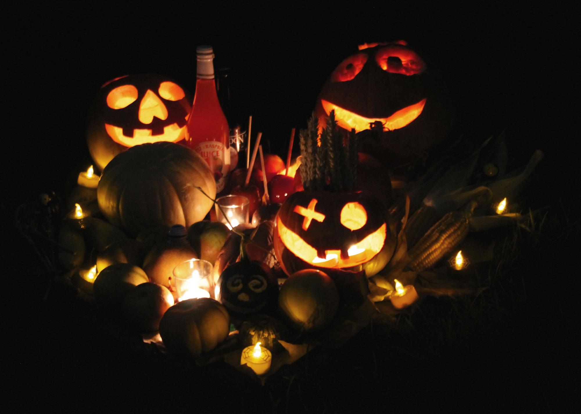 Warwickshire farmers geared up for spooktacular pumpkin pick your own
