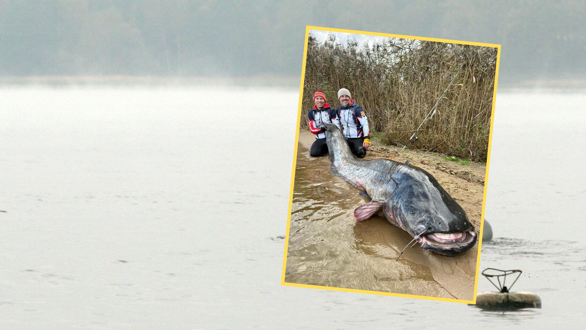 Polacy wyłowili z rzeki niemal trzymetrowego suma. "Euforia przeplatała ...