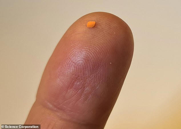 The chip that could cure blindness: 'Pioneering' device restores vision ...