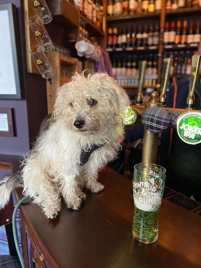 27 great Edinburgh restaurants picked by top food critics for you to ...