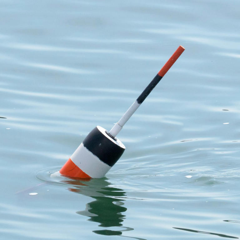 7 Ocean Cleanup Innovations Changing Marine Science, Experts Say