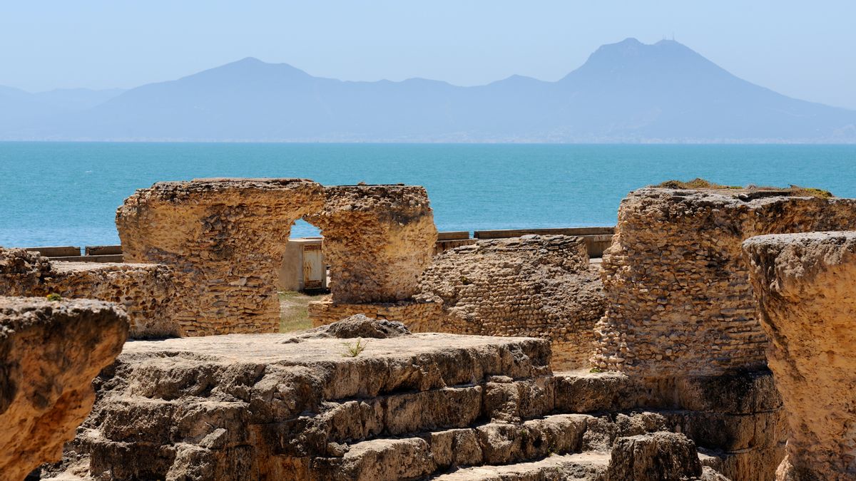 Did Rome and Carthage sign 1985 peace treaty for wars that began more ...