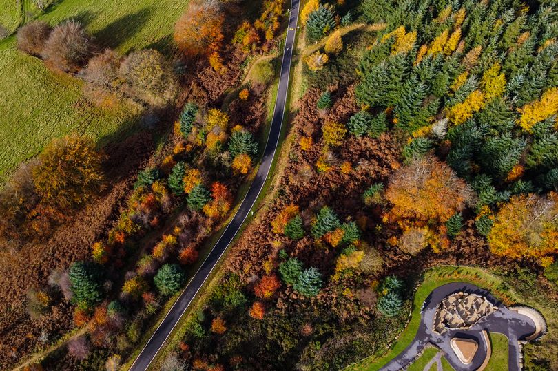 Beautiful Welsh forest has car, hiking and biking trails and cafe ...