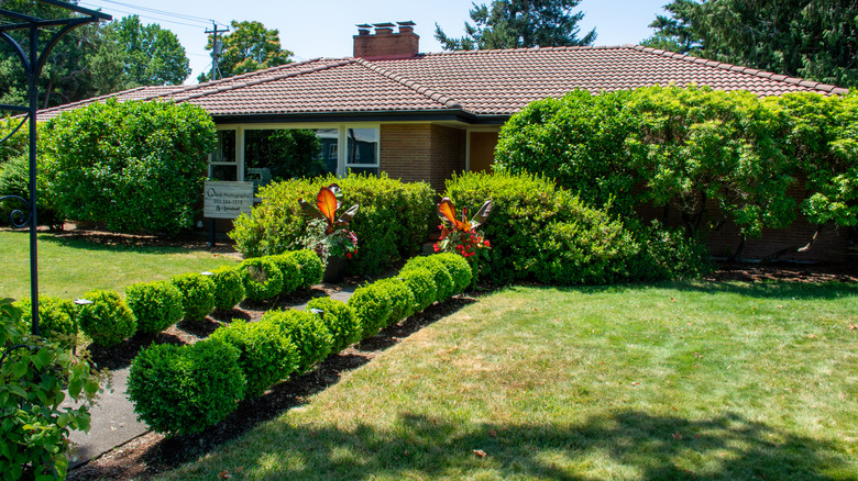Making Your Home Safer Starts In The Yard: The Gardening Task That Can ...