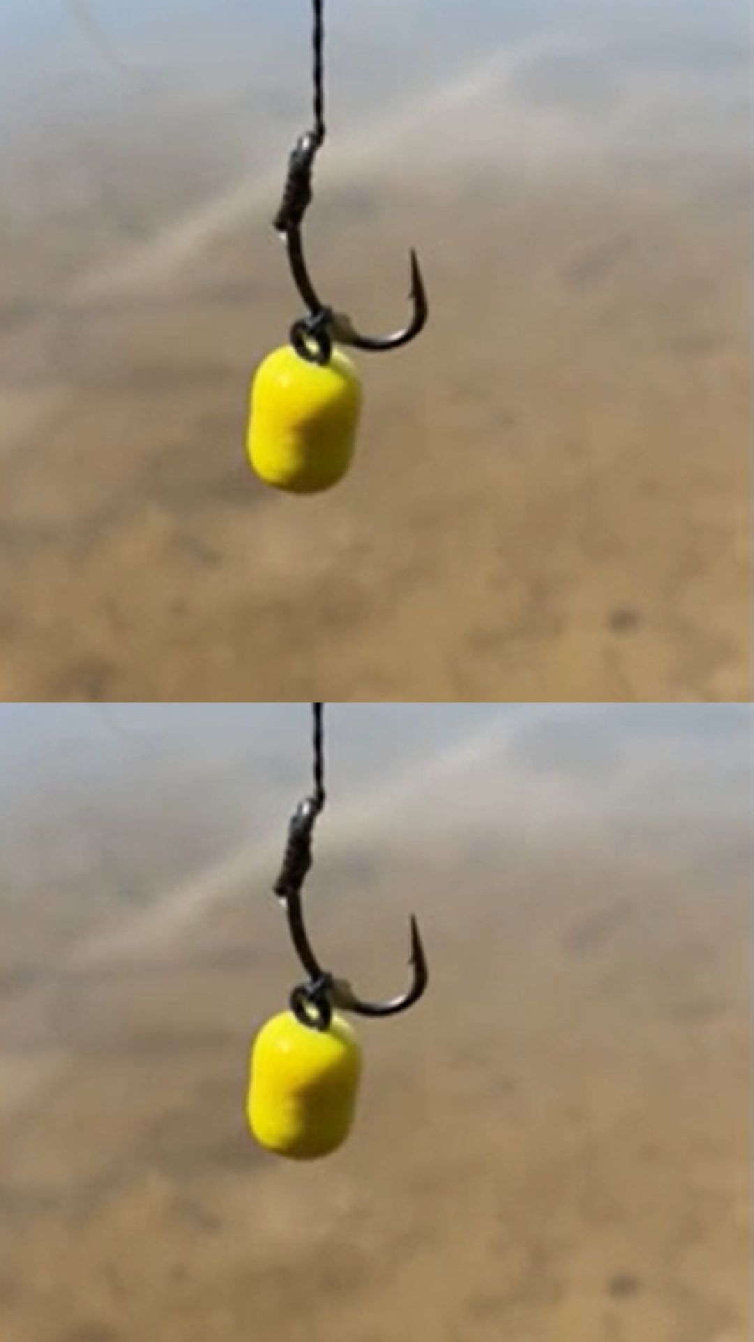 Carp Fishing Highlights You’ll Want to Replay
