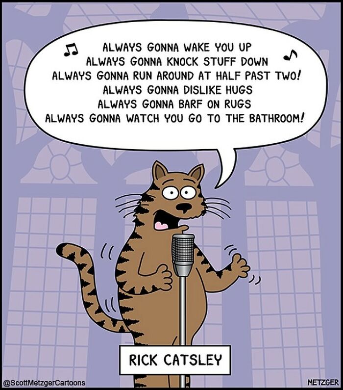 Only Cat And Dog Owners Might Truly Understand These 46 Cartoons By The ...