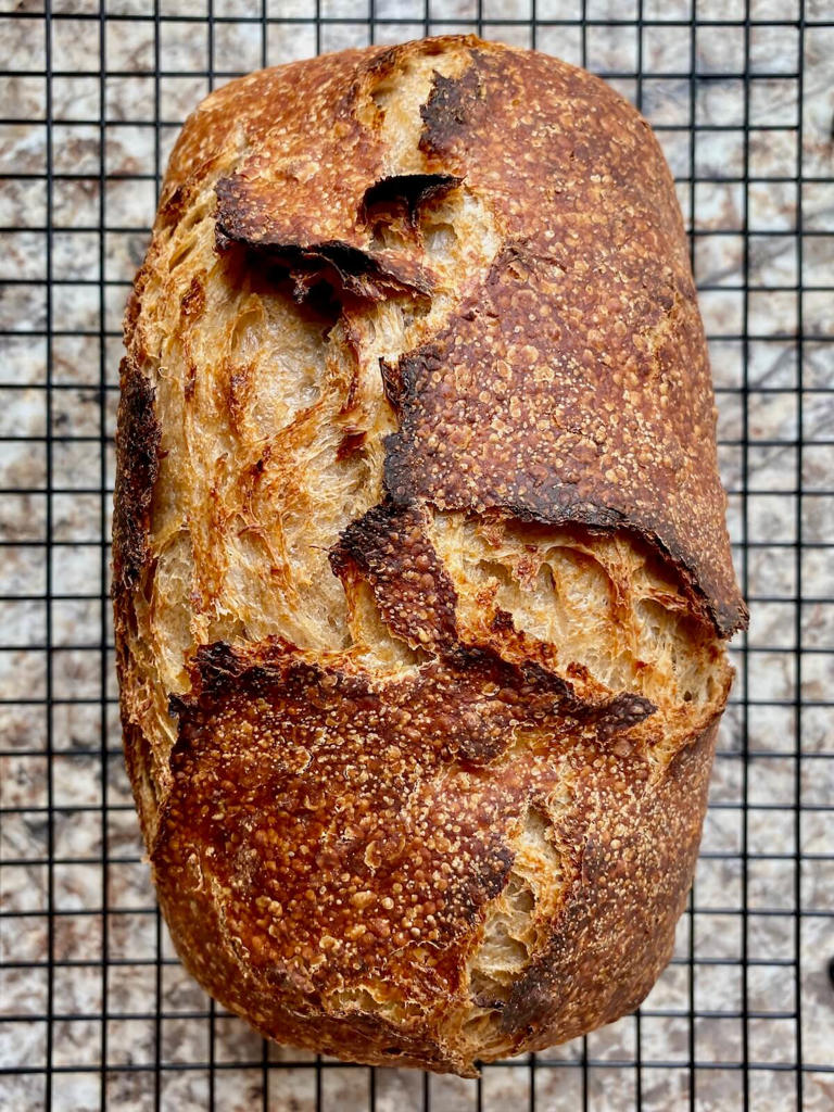 Sourdough oatmeal bread
