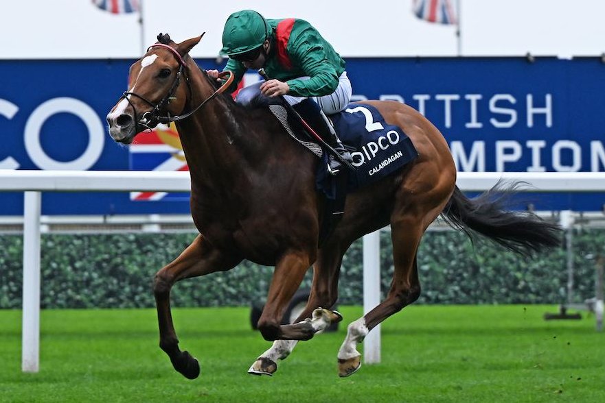 Ka Ying Rising wins world's richest turf race in weekend horse racing