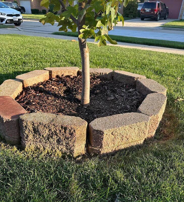 Homeowner warned after sharing photo of common landscaping mistake ...