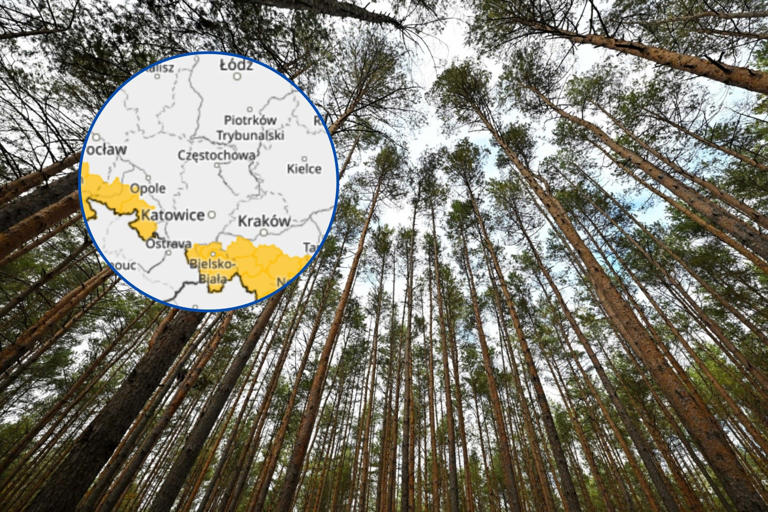 W prognozach zagrożeń wyróżnia się jeden dzień. Chodzi o wichury