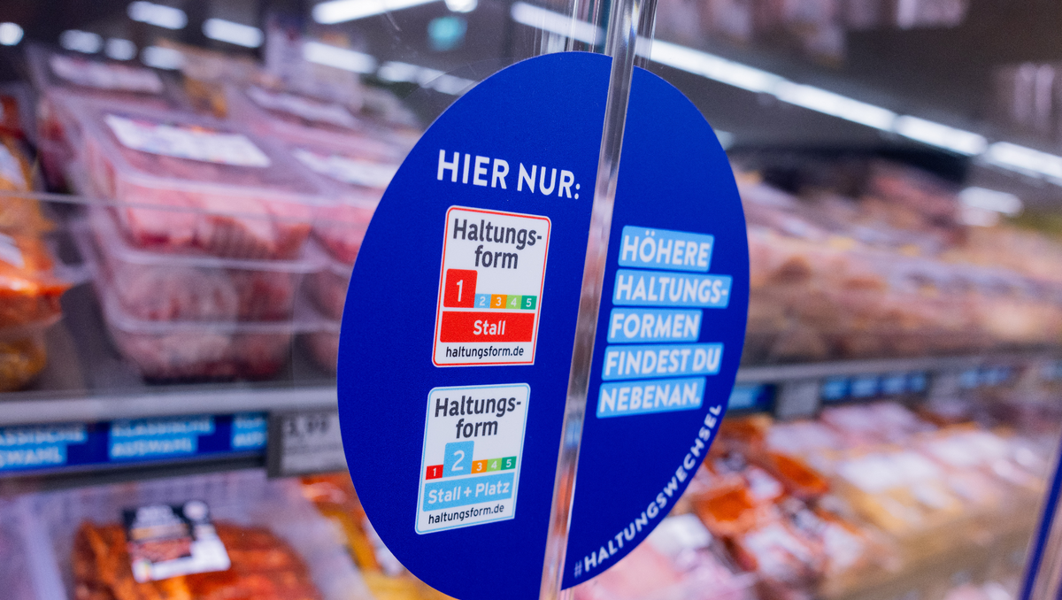 ALDI Süd zieht Konsequenzen: Schluss mit Billigfleisch aus niedrigster ...