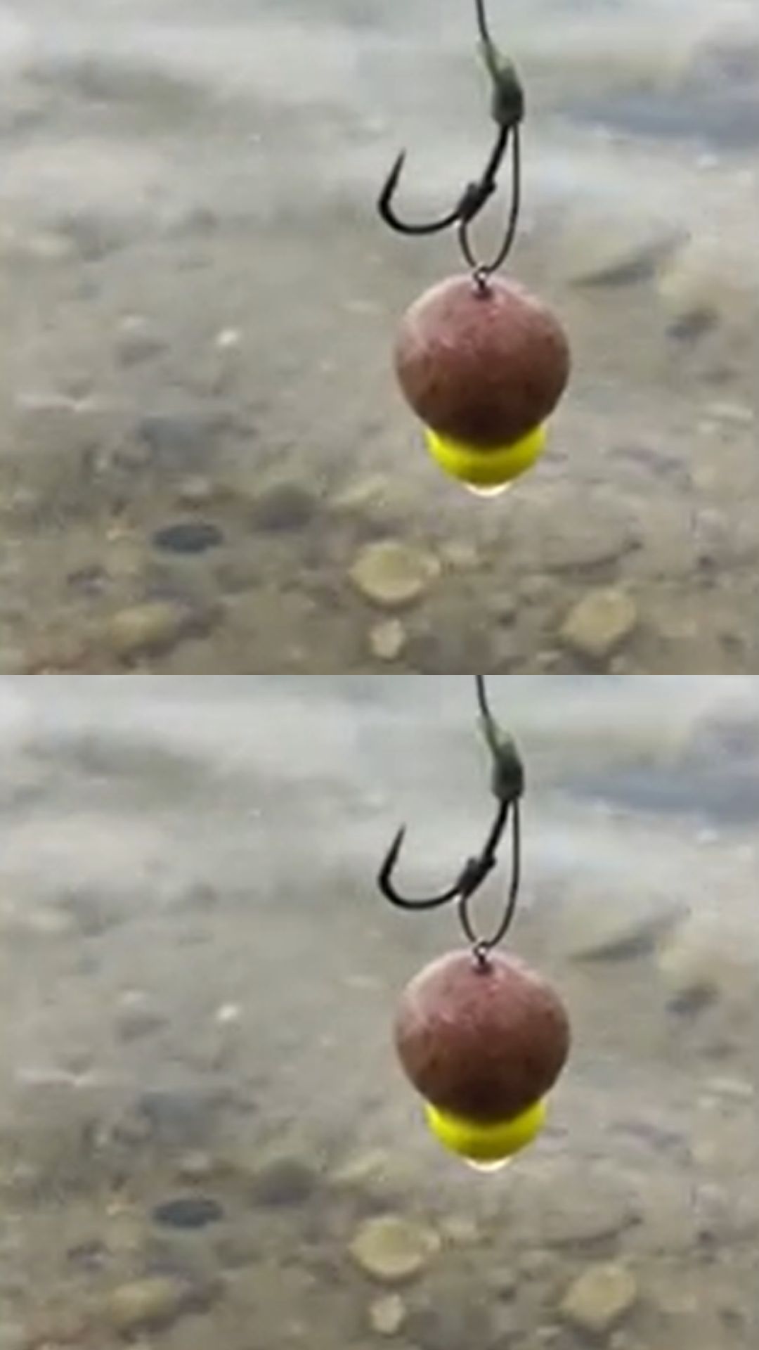 Landing the Big One – My Ultimate Carp Catch