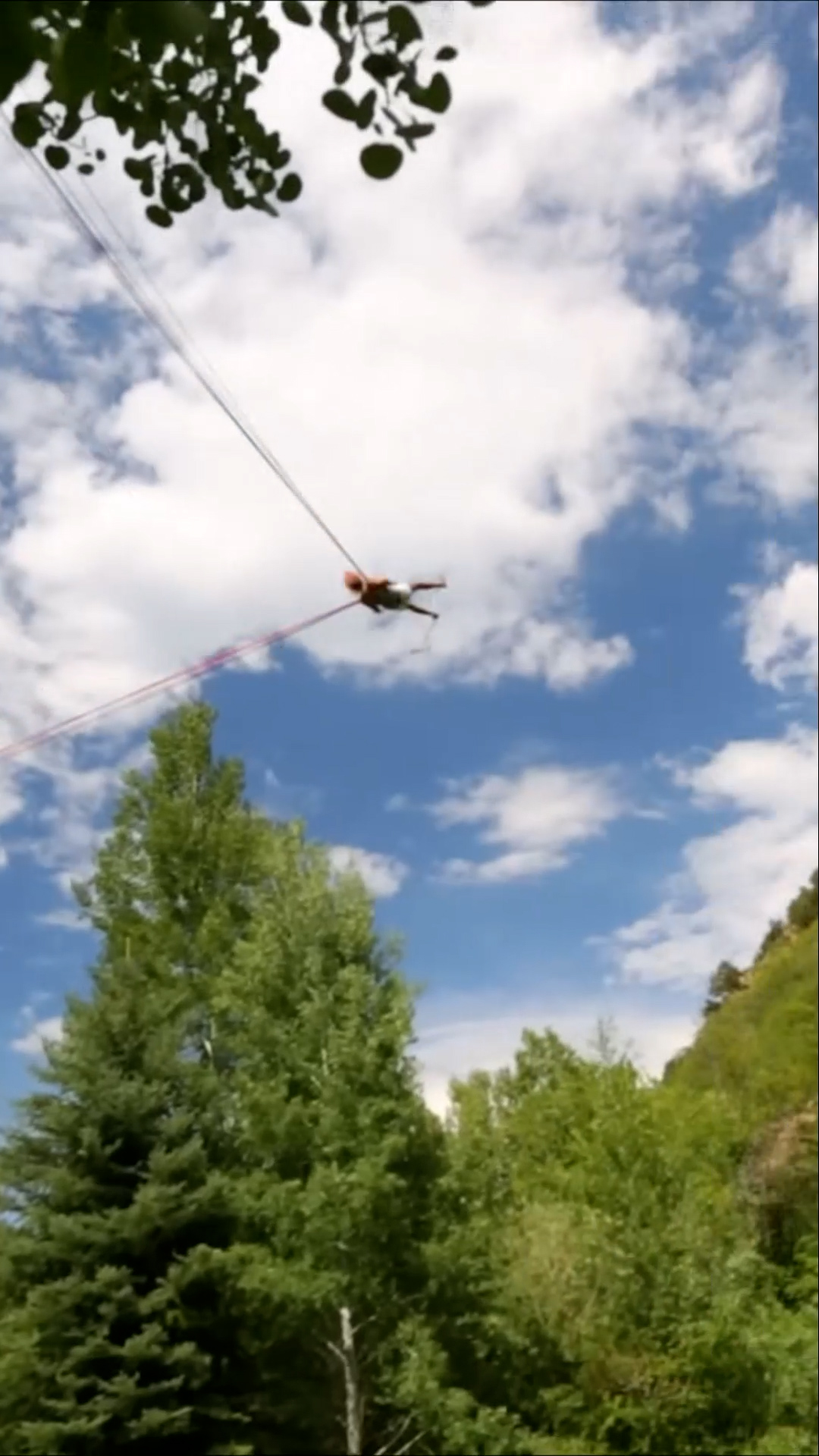 How Far Can You Launch a Human – Extreme Stunt Short